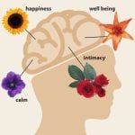 Emotional Impact of Flowers Study - About Flowers