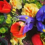 Flowers & Seniors Study - About Flowers